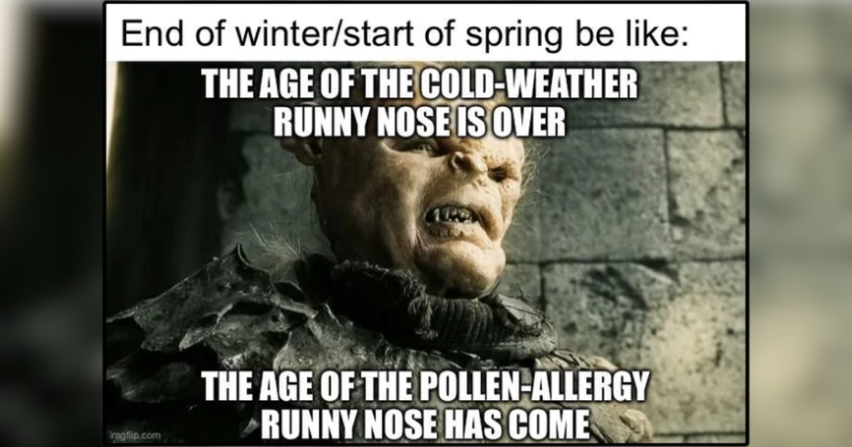 32 Lord of the Rings Memes That Were Forged in the Fires of Mount Doom ...