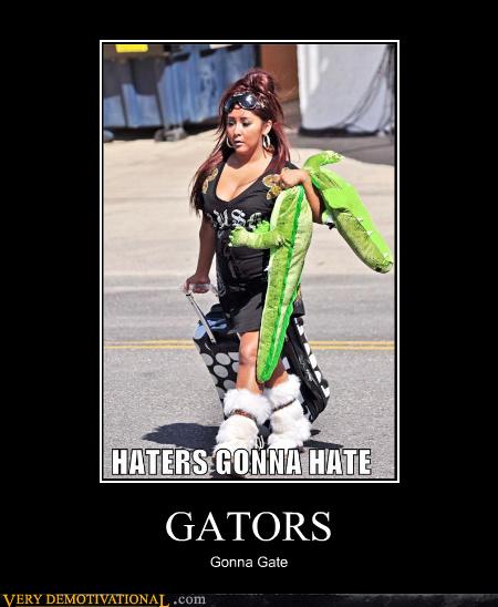 GATORS - Very Demotivational - Demotivational Posters | Very ...
