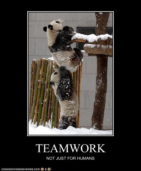 I Can Has Cheezburger?