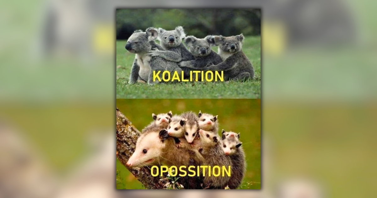 26 Funny Animal Memes to Distruct You From Hoomanity's Fumbles and ...