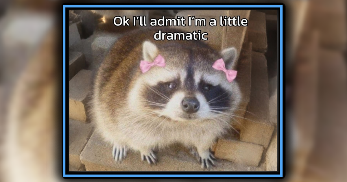 26 Reckless Raccoons Who Can’t Wait to Get Canned - Animal Comedy ...