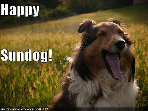 I Has A Hotdog - Dog Pictures - Funny pictures of dogs - Dog Memes ...