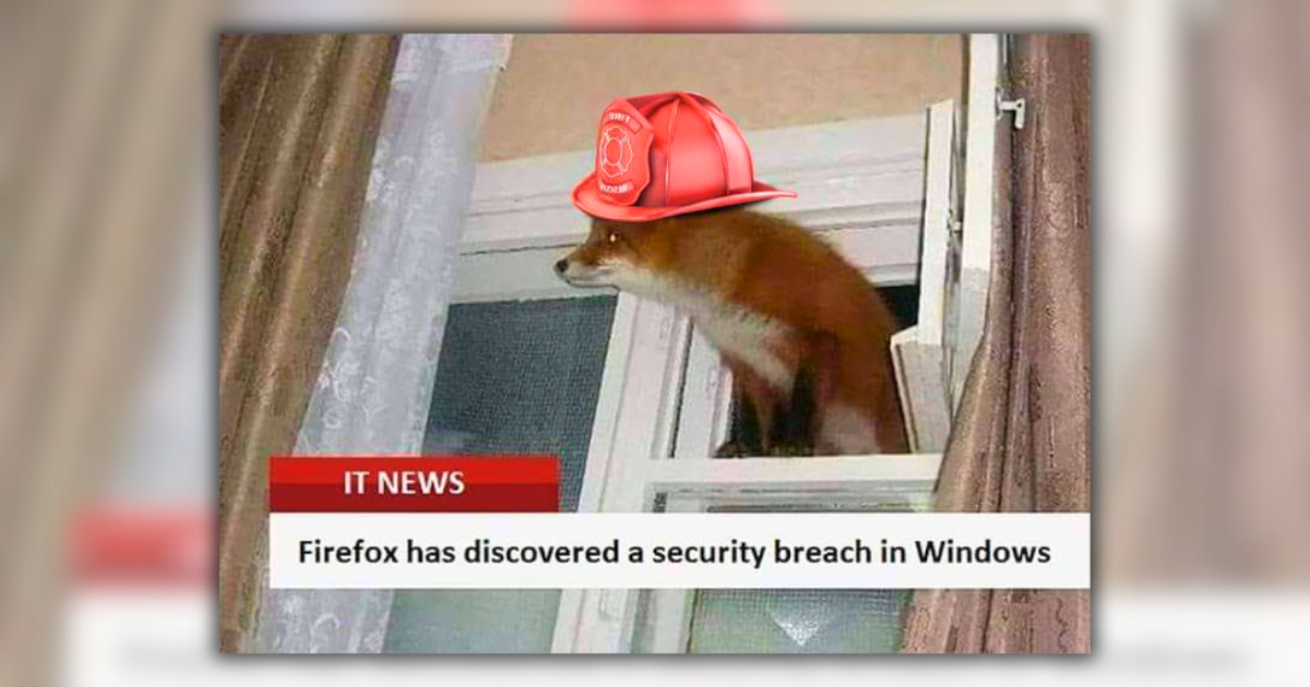 30 Random Animal Memes Making Sure Your Monday is as Random as Them ...