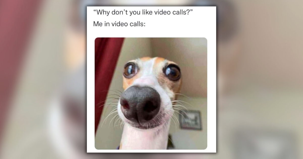 Dog Calling Memes