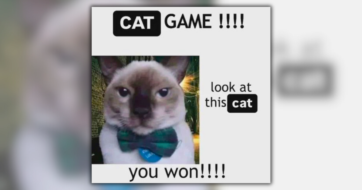Let's Play the Cat Meme Game! You Look at These 25 Cat Memes and Win ...