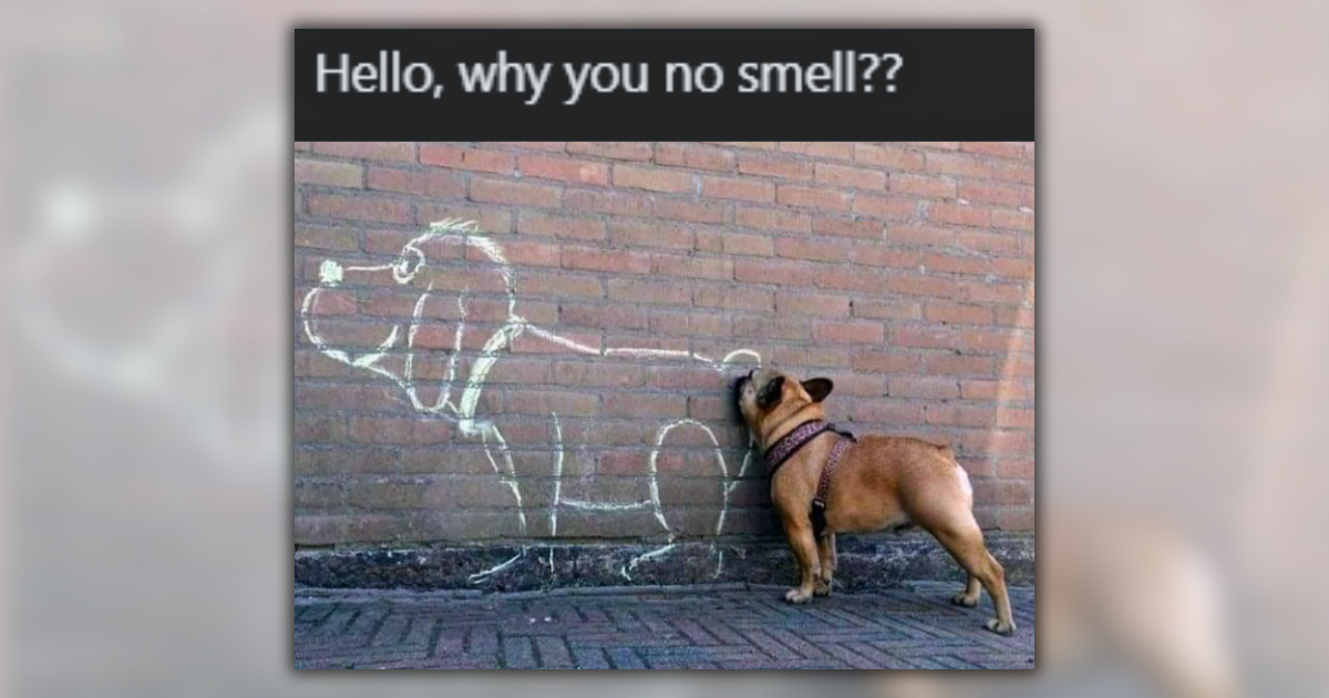 25 Funny Dog Memes You Should Send to Your Silly Friends - Animal ...