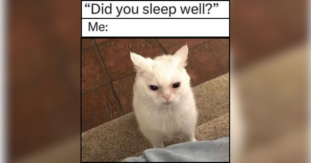 23 Sleepy Girl Memes for Women Who Survive on Less Than 6 Hours ...
