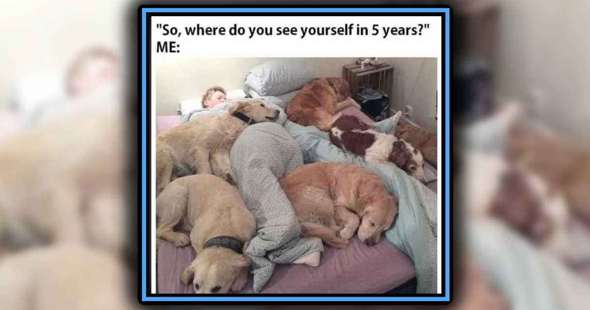 36 Howlarious and Heartwarming Howlers Fur Hardworking Hoomans Who Miss Their Canine Cuddle Bug ...