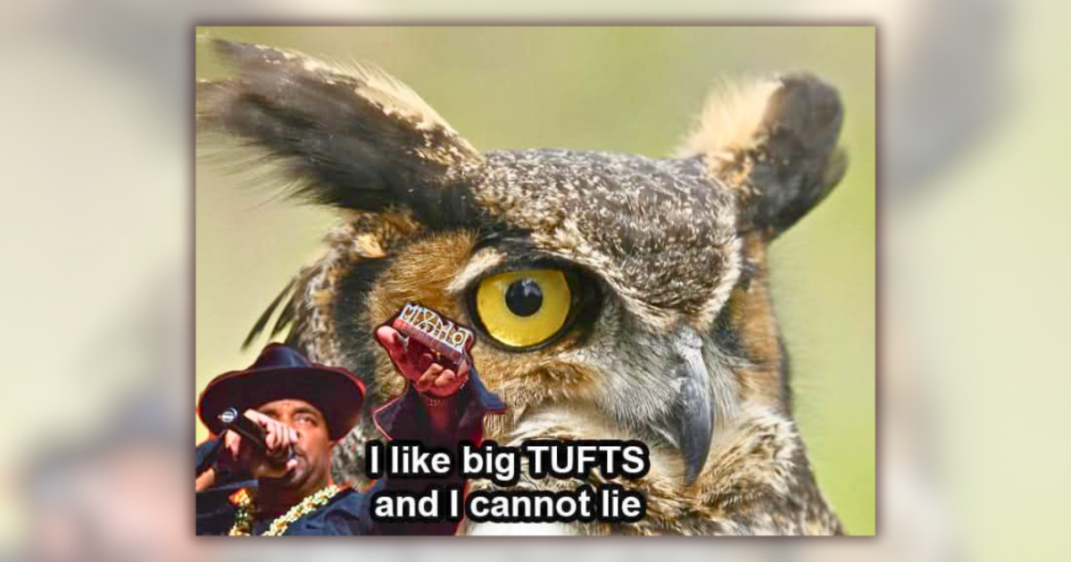 World Wild Web: 28 Wild Animal Memes Bringing You Boistreous Humor From ...