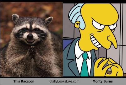 Totally Looks Like