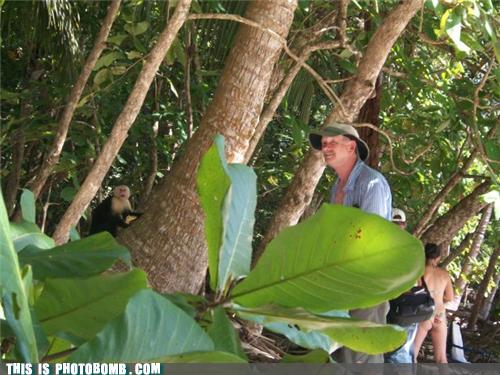 Jungle Booty - Photobombs - photobomb that guy