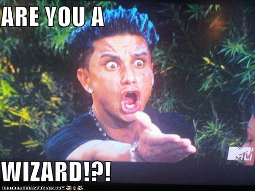 Derp - wizard - Derp Face Derps - hurr durr derp face - derp - Cheezburger