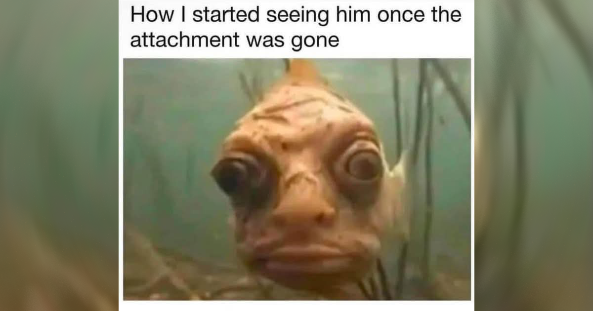 30 Memes to Dazzle and Amaze - Memebase - Funny Memes