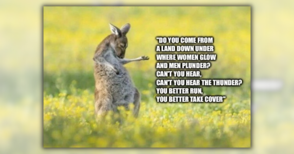 24 Adventurous Animal Memes Daring to Uplift Your Mellow Monday Mood ...