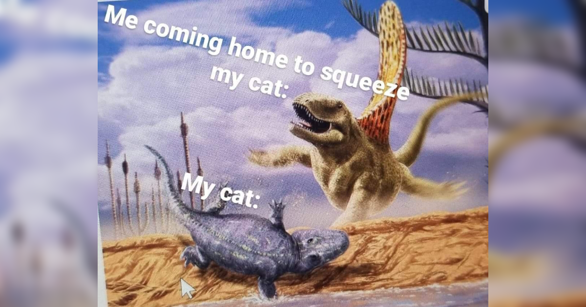 A Purification Ritual of 32 Memes - Memebase - Funny Memes