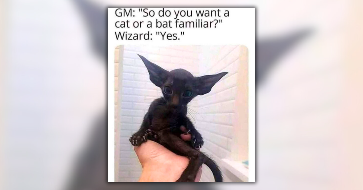 23 Fantasy Feline Memes That Satiate Your Wizardly Desire to Have a ...
