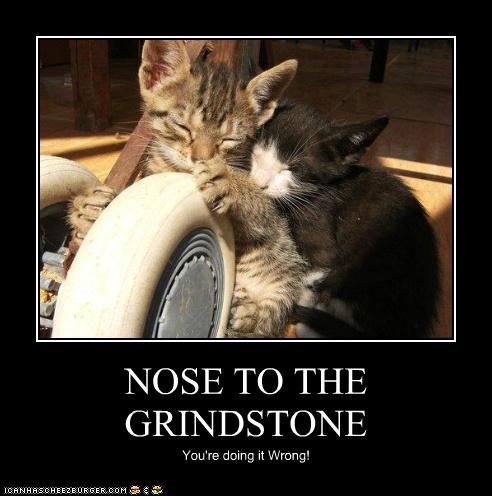 NOSE TO THE GRINDSTONE - Very Demotivational - Demotivational Posters ...