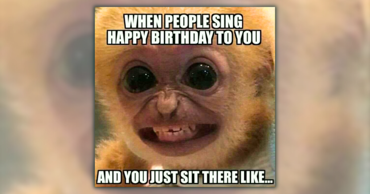 23 Monkey Memes Putting the "Fun" in Funky Monkey Business - Animal ...