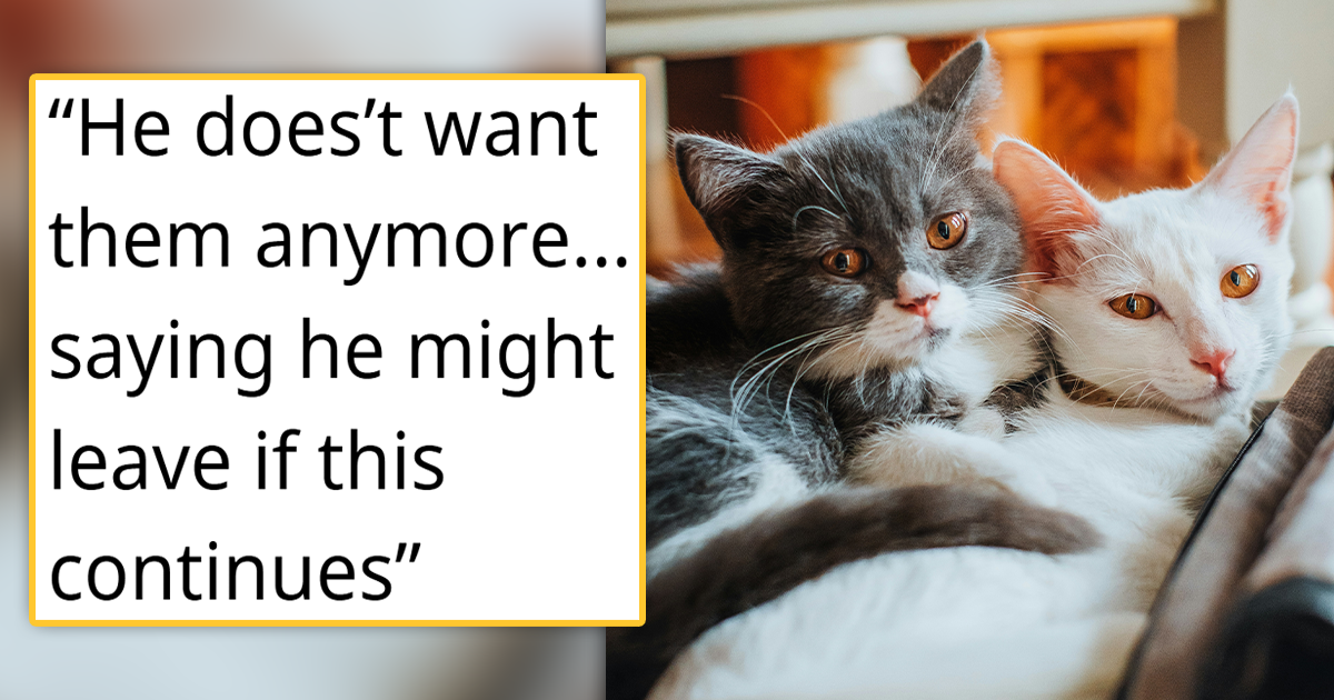 Husband demands that his wife get rid of the cats they've had for years ...