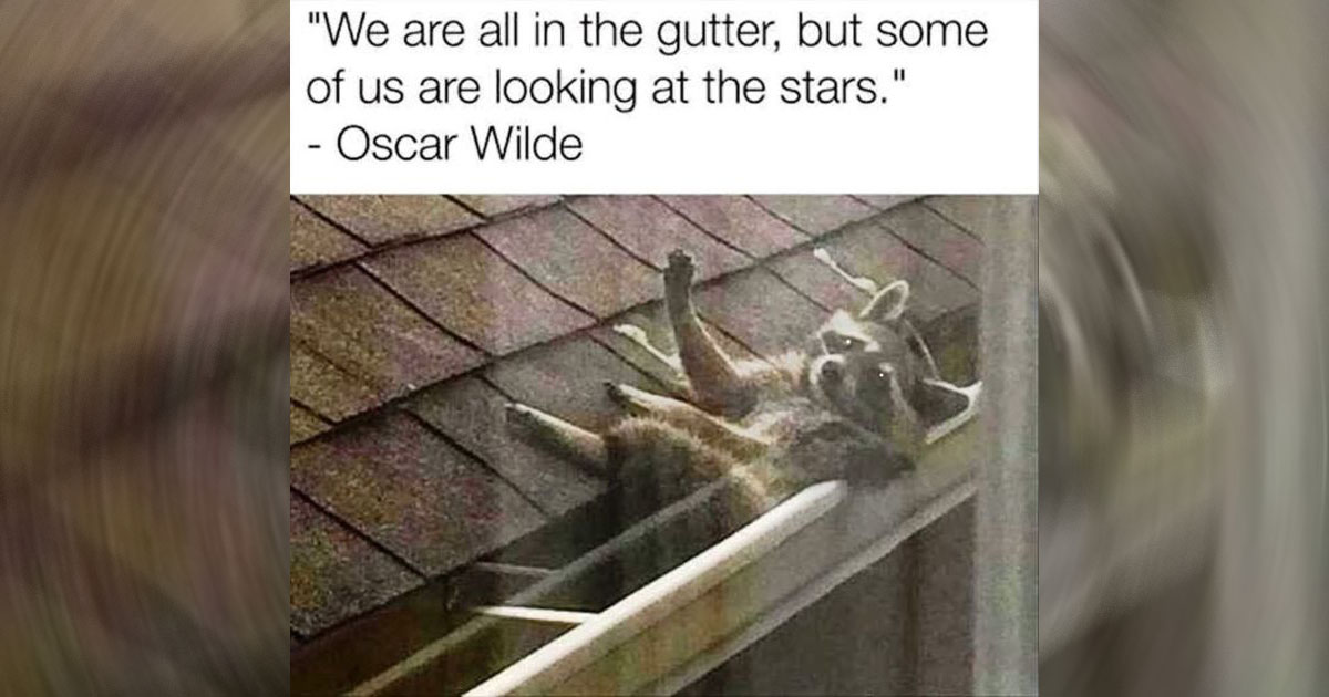 32 Memes For the Modern Meme Consumer - Memebase - Funny Memes