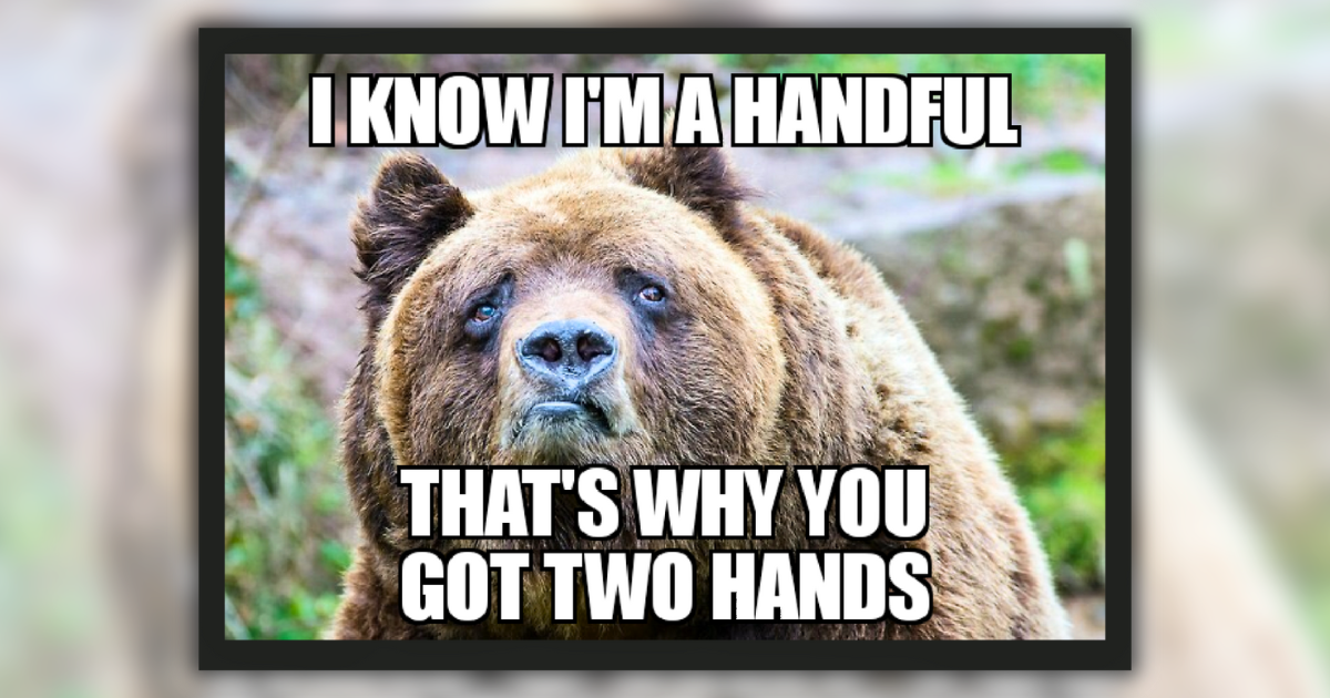 25 Bear Memes Bringing Big Fuzzy Feelings to Your Beary Lovely Day ...