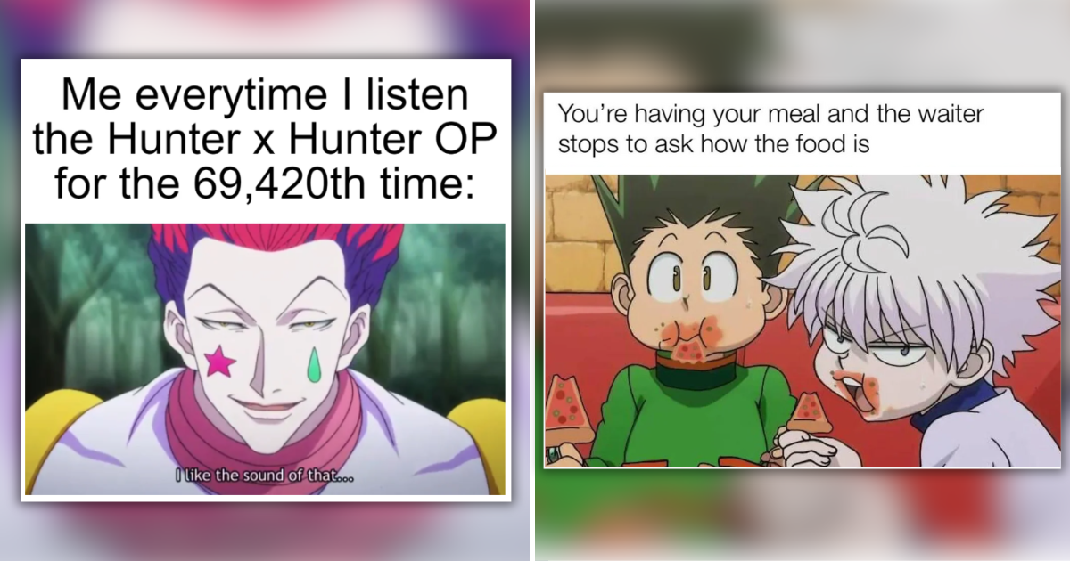 25 Silly Hunter x Hunter Memes That Have the Properties of Both Rubber ...