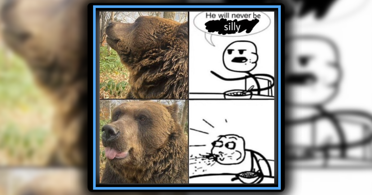 22 Pawdorable Pawsts From Today’s Teddy Bear Picnic to Tickle Your ...