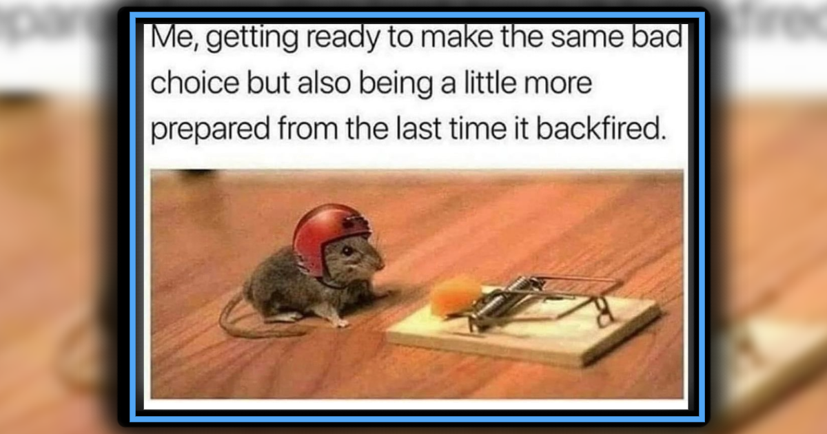 23 Captivating Critter Memes Fur Hoomans Who Don’t Want to Think About ...