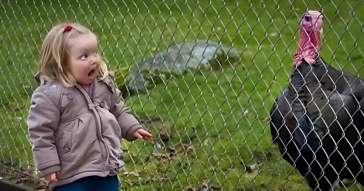 27 Hilarious Animal Pawsts to Giggle Through Your Limited Lunchbreak ...