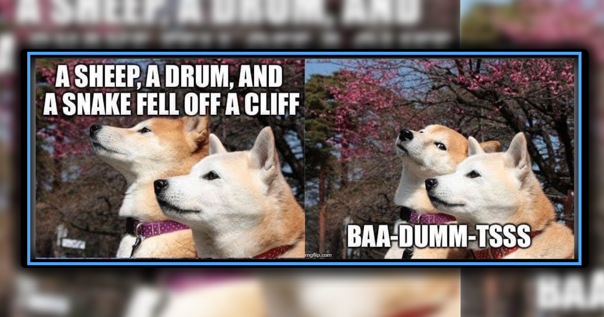 23 Hilarious Animal Memes for Your Mid-Week Mood-Boosting Mental ...