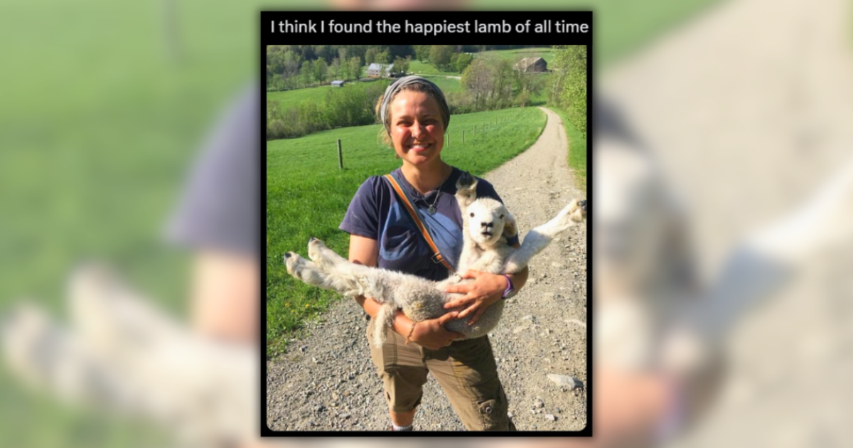 27 Happy Animal Memes Fetching Splendid Smiles to Your Day - Animal ...