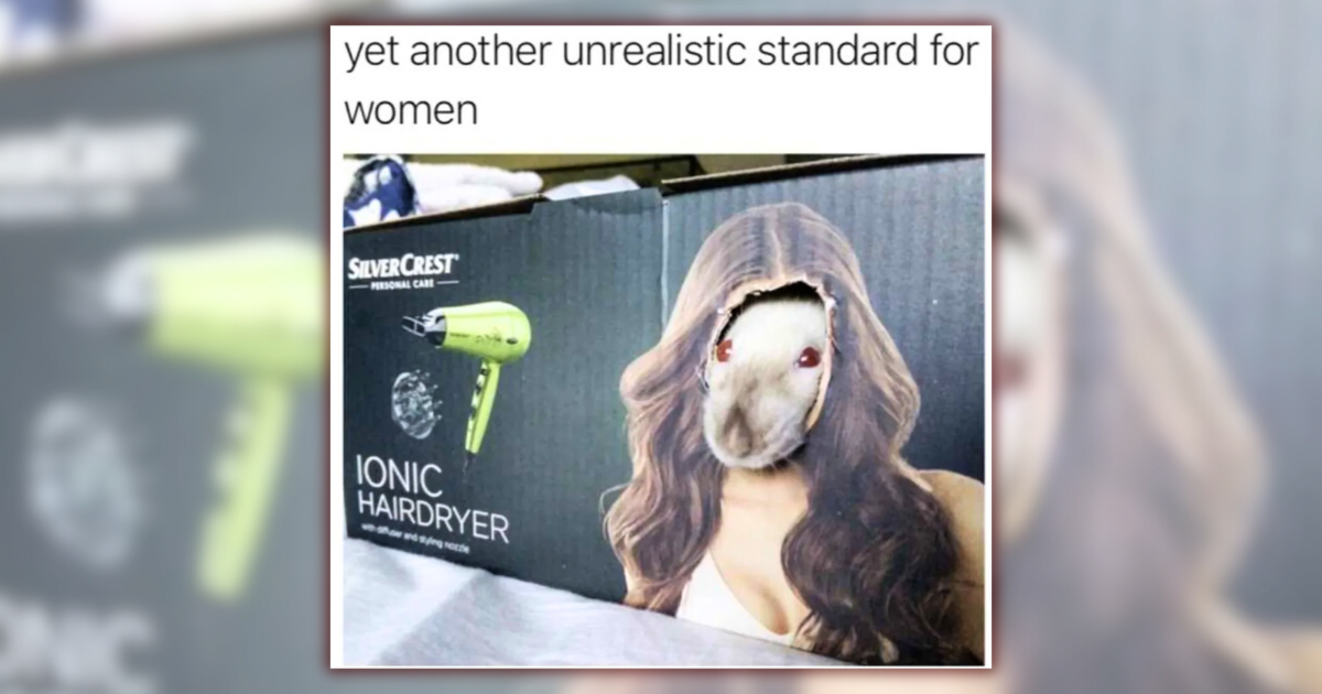 Domesticated Delight of 29 Animal Memes You Can Chill With on the Weekend - Animal Comedy ...