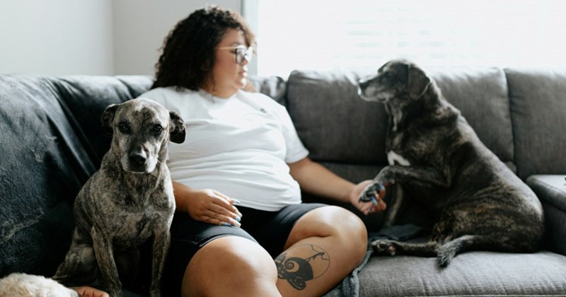 Childless dog mom chastises 64-year-old mother-in-law for sending ...