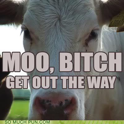 Puns - cow - Funny Puns - Pun Pictures - Cheezburger
