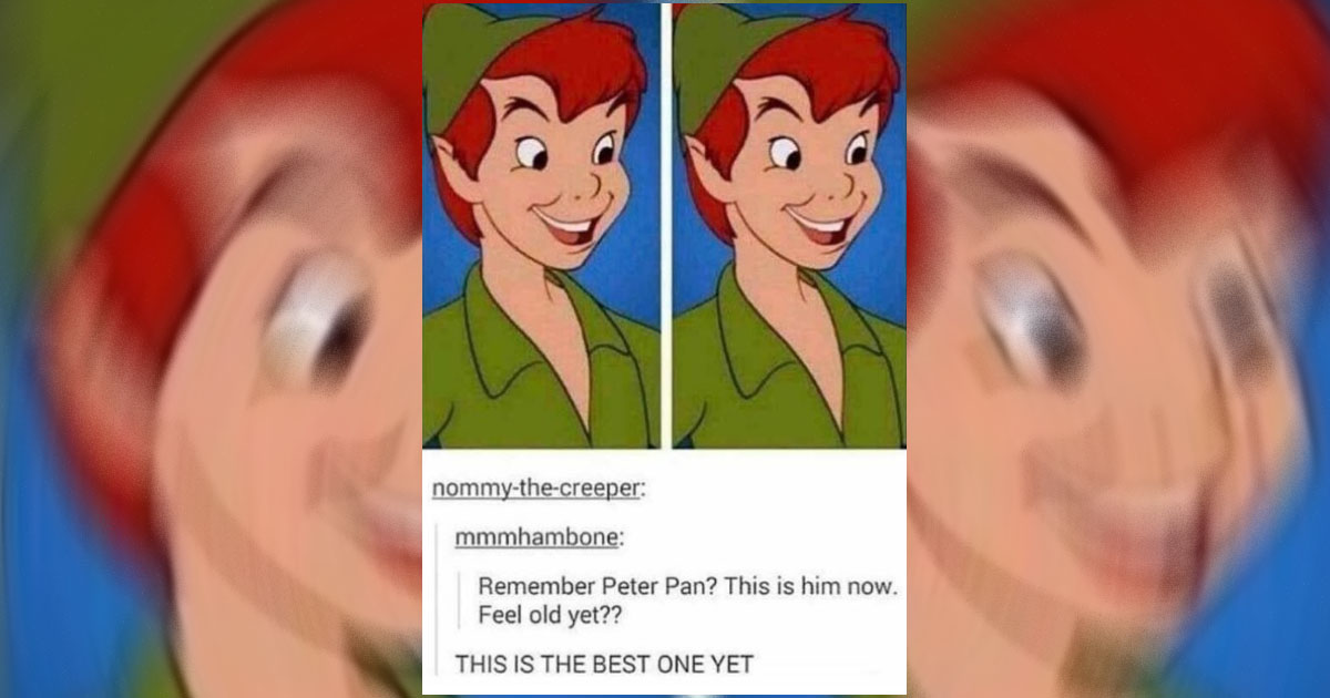 Mèmes Amusants De Disney World