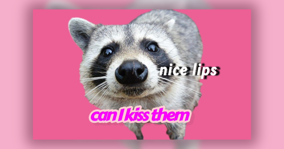 23 Romantic Animal Memes to Send Your Furbulously Feral Crush - Animal ...