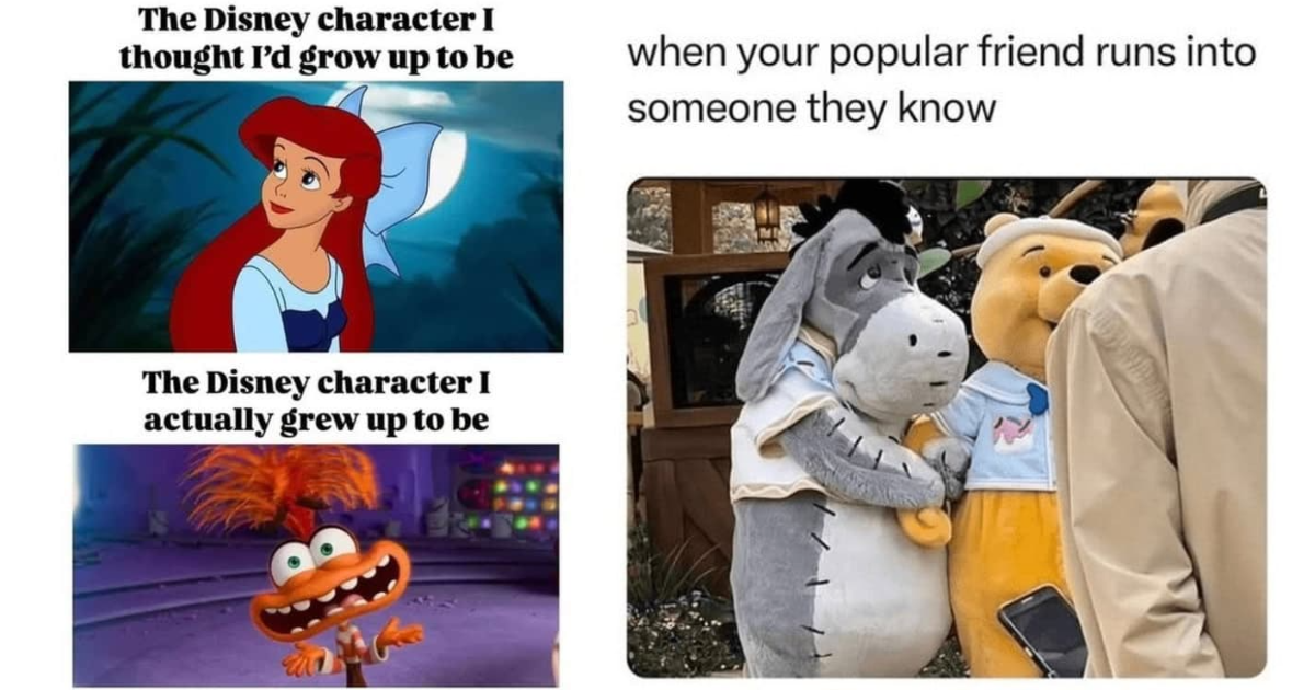 27 Disney Memes That Are Just as Magical as the Parks - Geek Universe ...