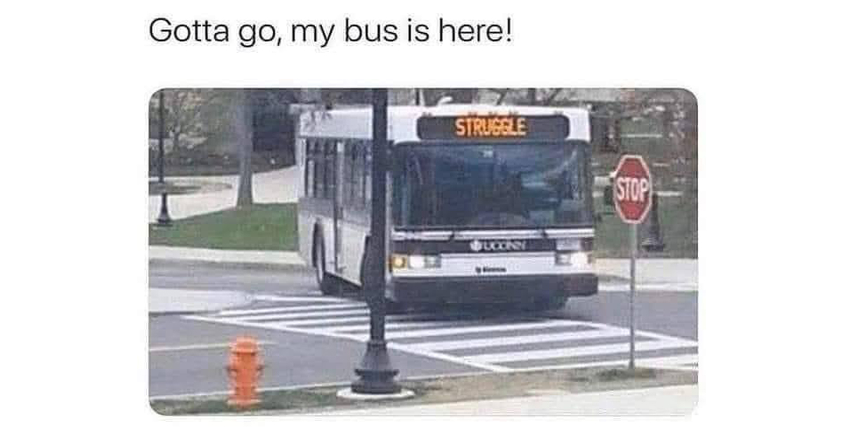 A Pondering of 28 Memes - Memebase - Funny Memes