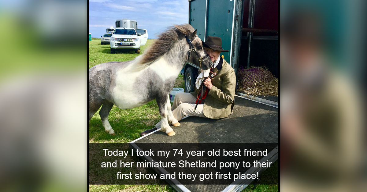 24 Silly Animal Memes and Snaps to Help Start Your Day off with a ...