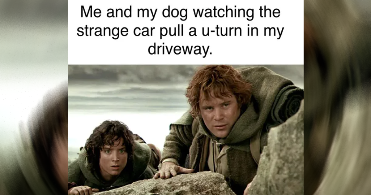 Legolas Gravity Memes