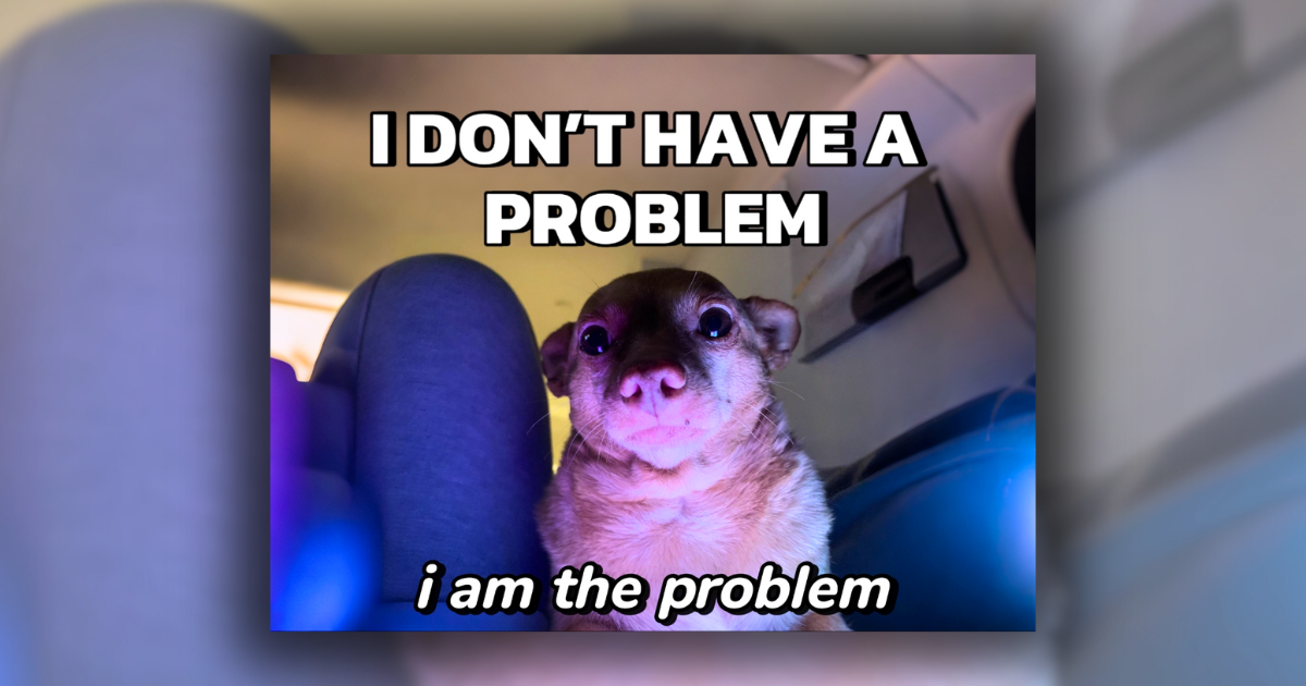 27 Howlarious Dog Memes for When You Want to Howl With Laughter ...