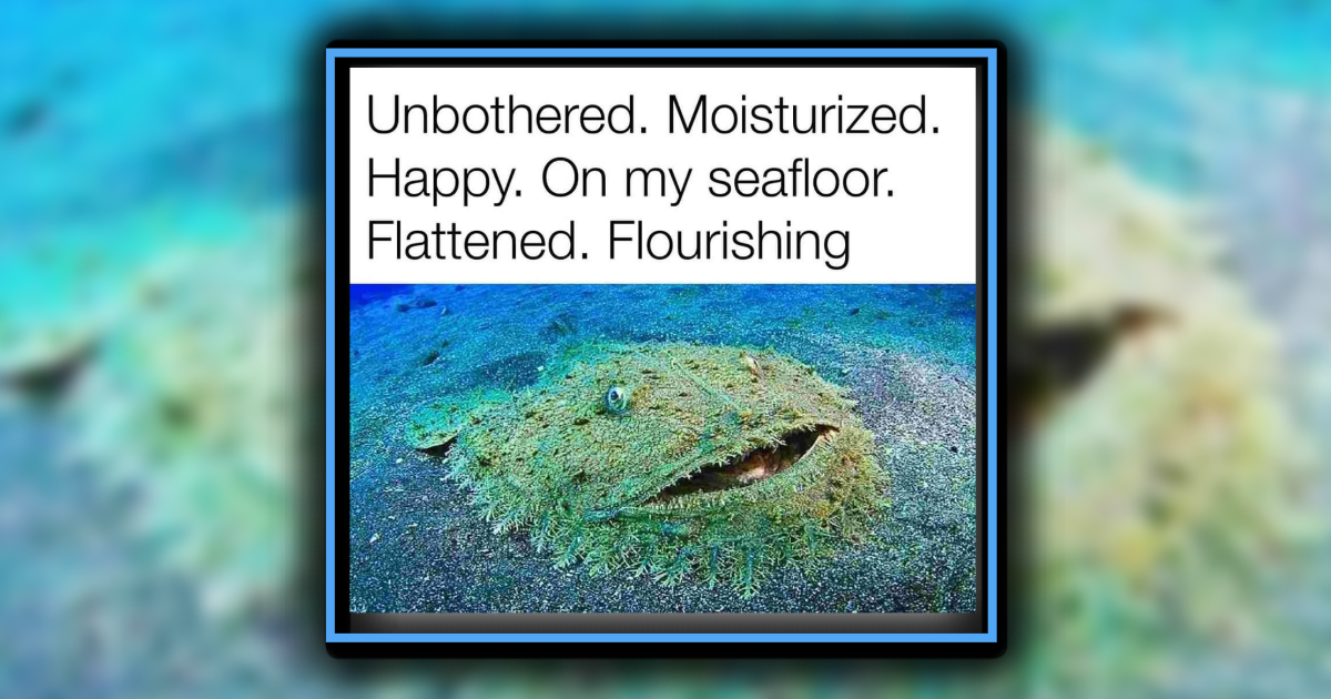 23 Optimistic Animal Memes for When Your Glass Is Half Empty - Animal Comedy - Animal Comedy ...