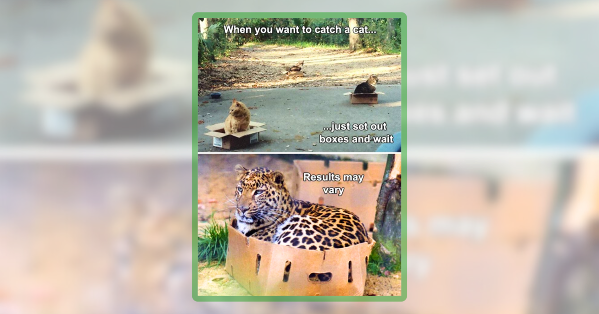 Animal Comedy - funny animal memes - Page 2 - Animal Comedy - Animal Comedy, funny animals ...