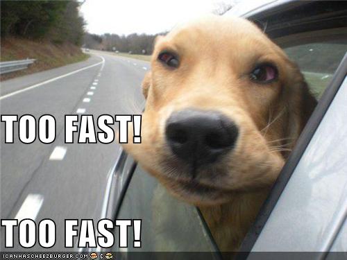 TOO FAST! TOO FAST! - Cheezburger - Funny Memes | Funny Pictures