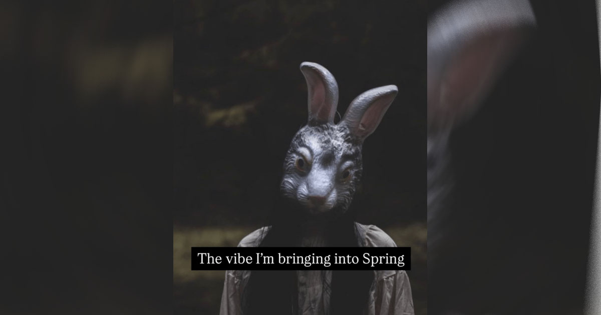 Memebase - rabbit - All Your Memes In Our Base - Funny Memes - Cheezburger