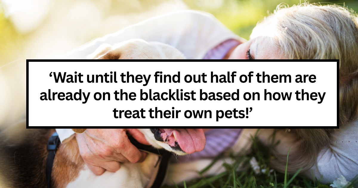 3-year-old Labrador gets $150,000 inheritance from rich pawrents' will ...