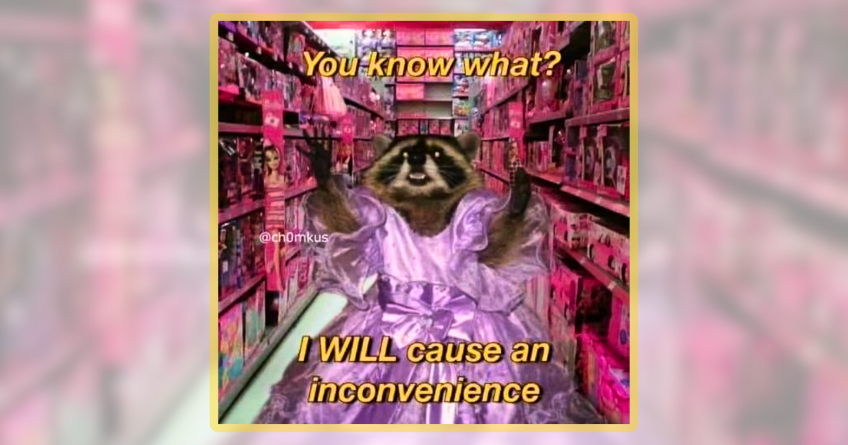 28 Ruckus Raccoon Memes for People With a Raging Silly Instinct ...