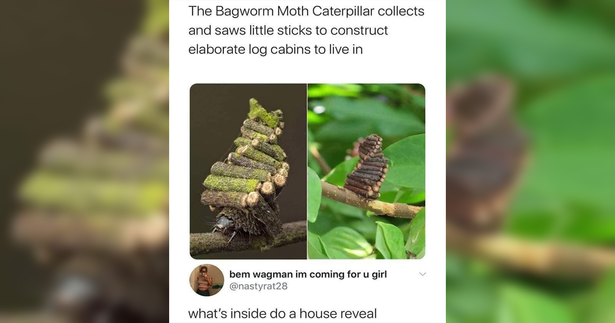 20 Nature Memes for Ecological Obsessives - Memebase - Funny Memes