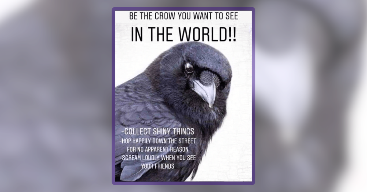 Crow Cawmedy Made of 23 Memes for Wholesome Witches Who Love Weird ...