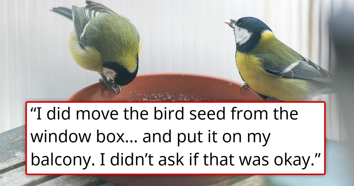 Groundskeeper snitches on one of the tenants for feeding birds ...